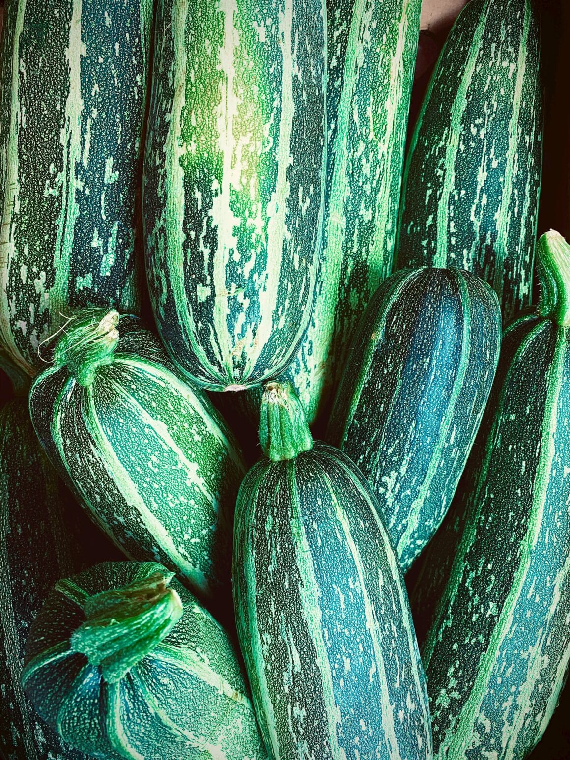 Courgette : légume ou fruit ? La vérité surprenante derrière ce ...
